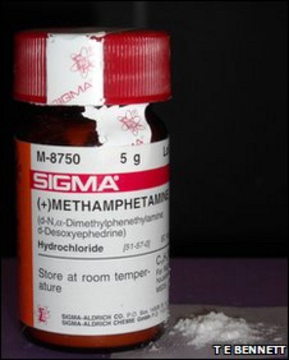 Snail 'meth' experiment yields drug addiction clue - BBC News