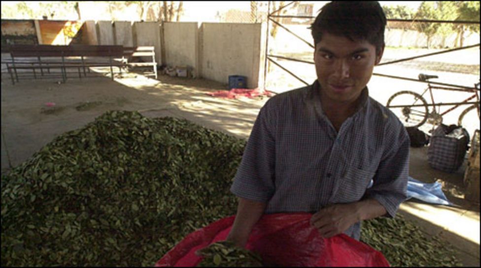 Cocaine production rise spells trouble for Bolivia - BBC News