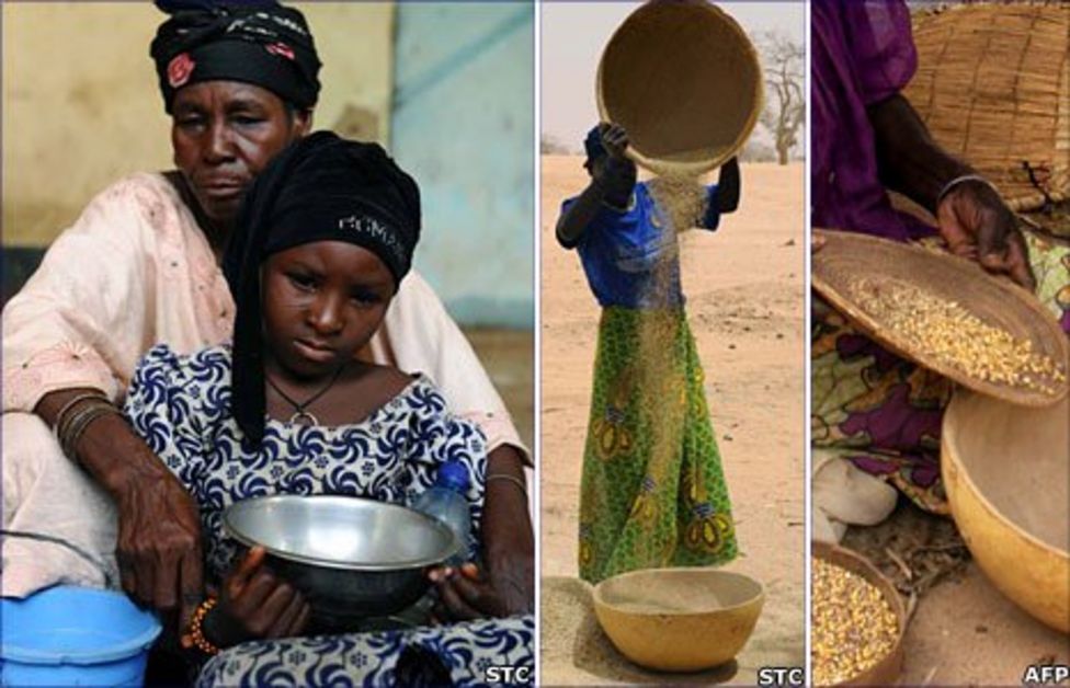 'Niger drought made me a beggar' - BBC News