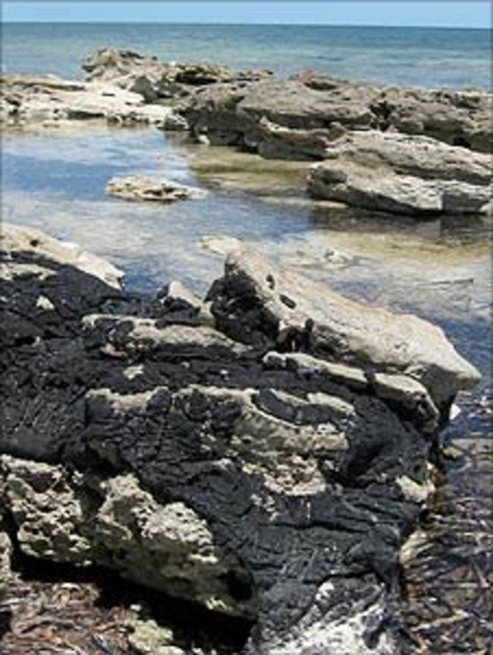 Mexicans still haunted by 1979 Ixtoc spill - BBC News