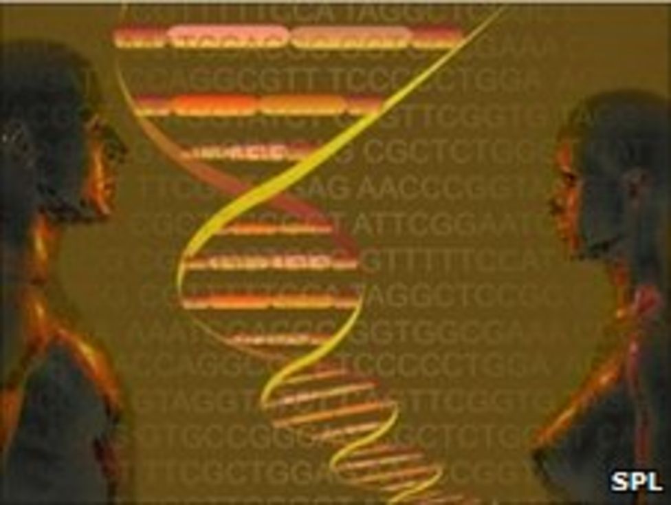Has decoding the genome lived up to hype? - BBC News