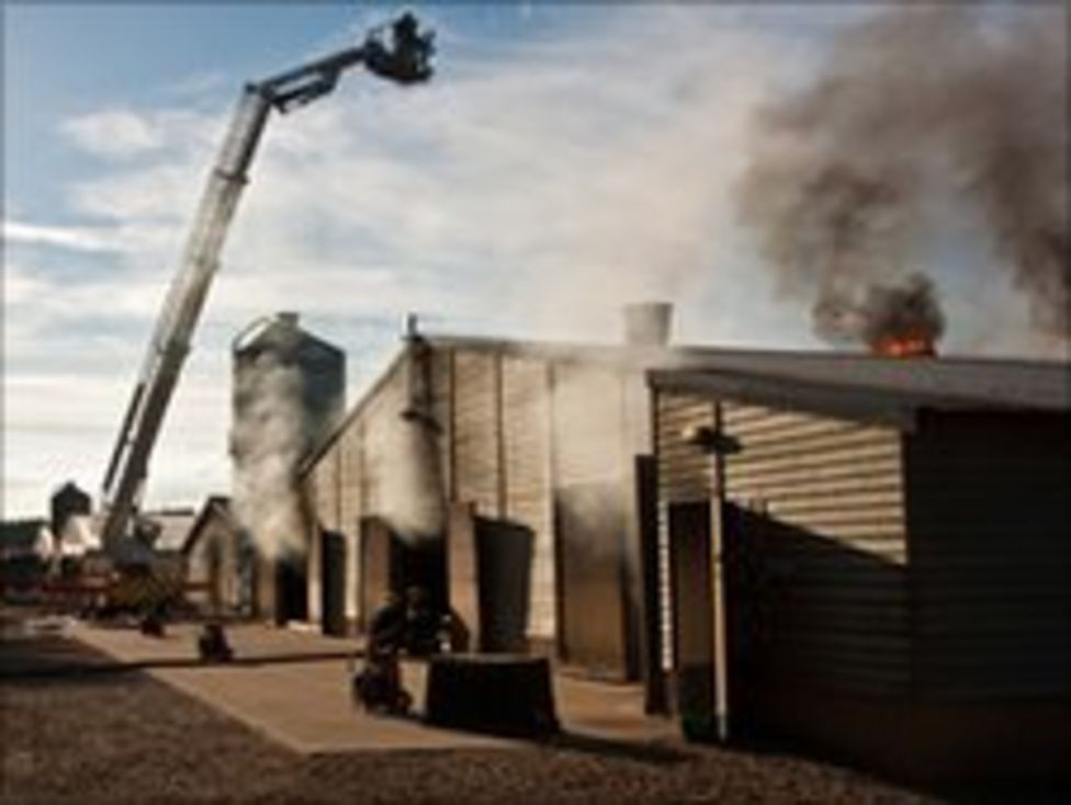 Thousands of chickens die in Hampshire farm barn fire - BBC News