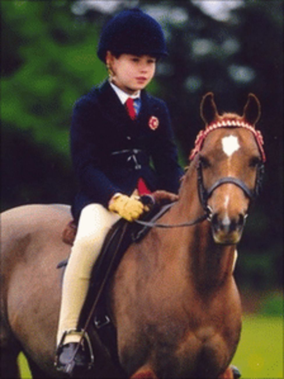 Boy, 9, dies in swing rope accident in Bishops Waltham - BBC News