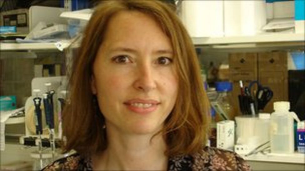 The not-so-weird science behind Splice - BBC News