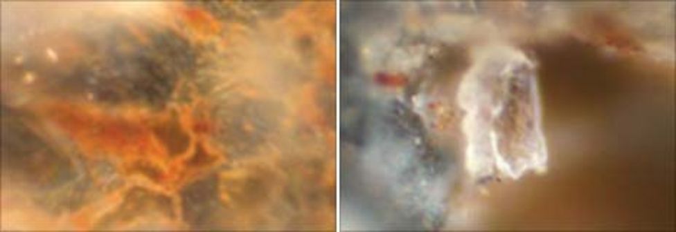 Oldest evidence of arrows found - BBC News