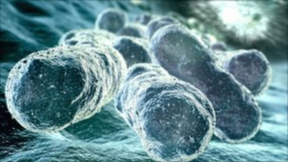 Anthrax outbreak hits Bangladesh - BBC News