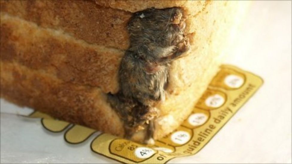 Firm fined after dead mouse found in loaf of bread - BBC News