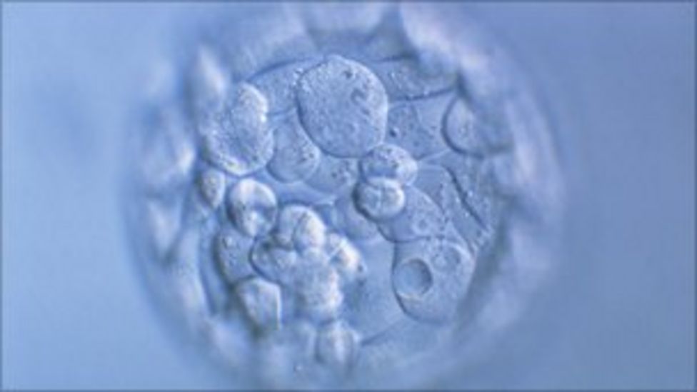 Checks 'predict embryo success' - BBC News
