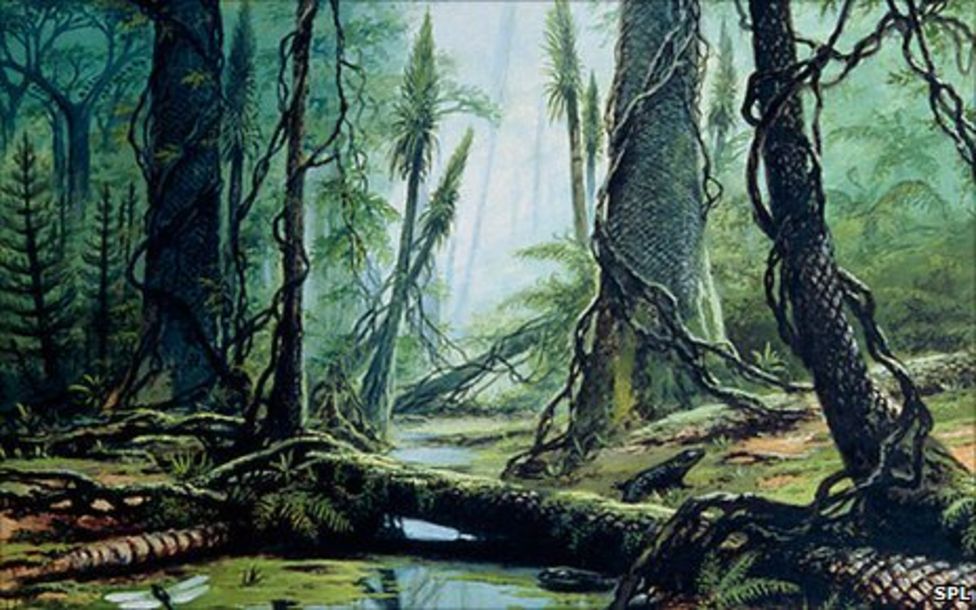 Rainforest collapse kickstarted reptile evolution - BBC News