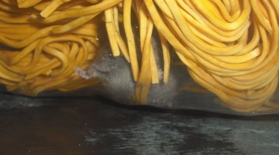 Live mice found in noodles at Chinese takeaway in Essex - BBC News