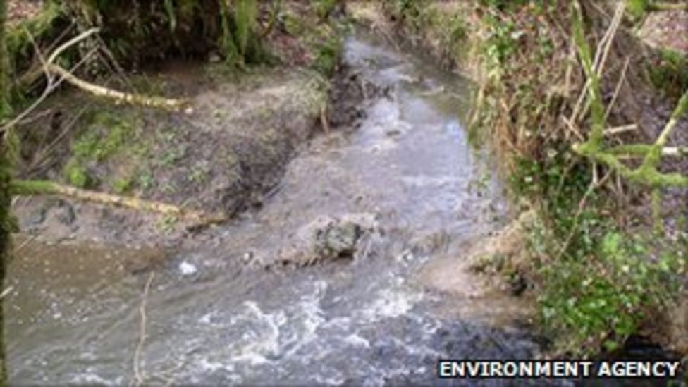 West Brendon dairy farmers fined for slurry pollution - BBC News