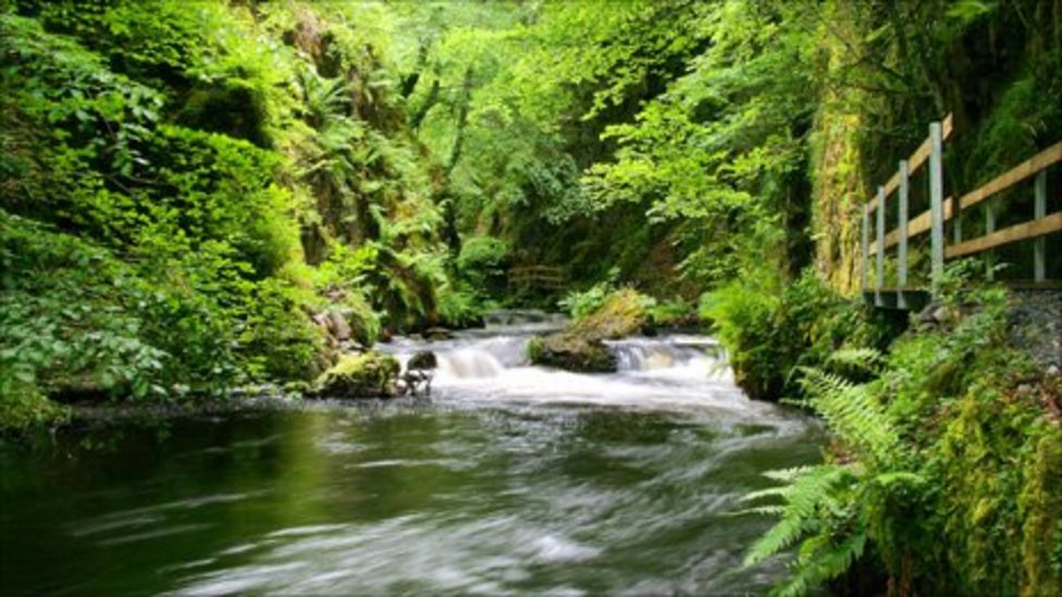 Ayrshire councils join River Doon campaign - BBC News