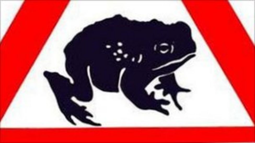 Toad road signs in Burry Port and Ammanford - BBC News