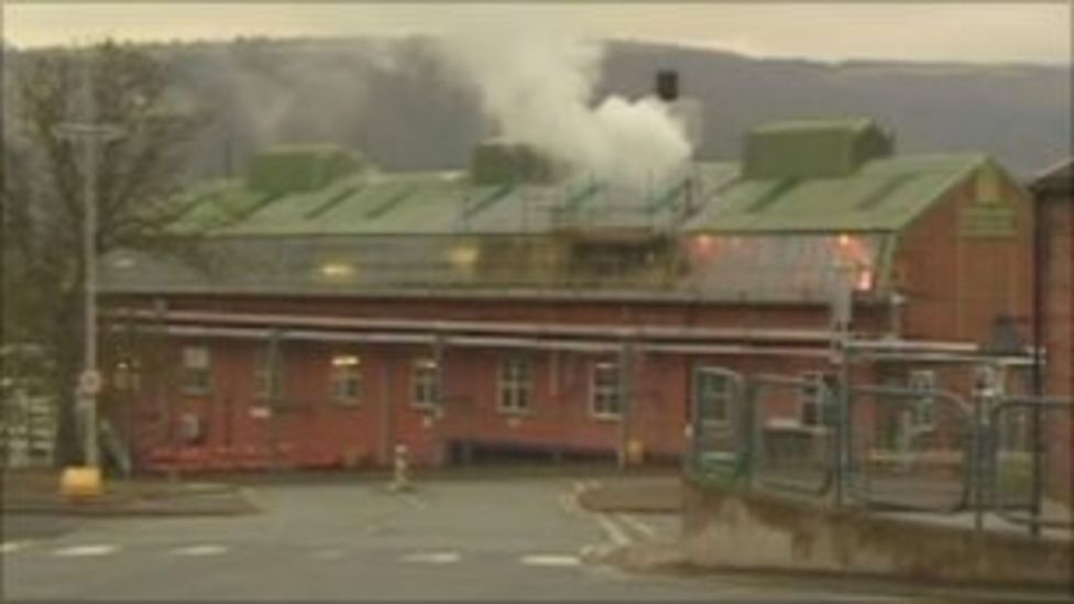 'Flexsys' workers told Cefn Mawr jobs safe until 2015 - BBC News