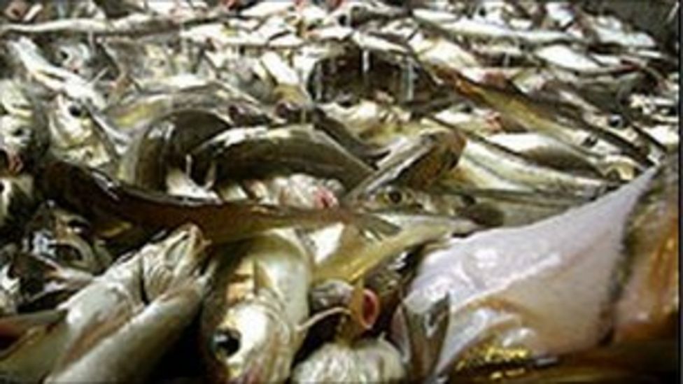 Merchants fret falling fish supplies at Grimsby market - BBC News