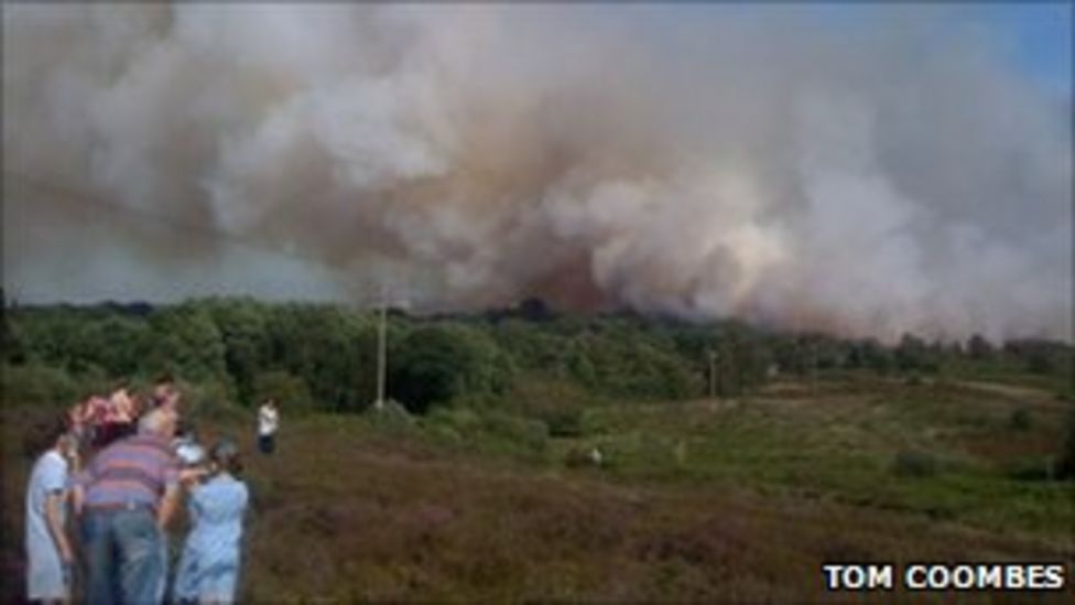 Reward offered over Upton heath fire in Dorset - BBC News