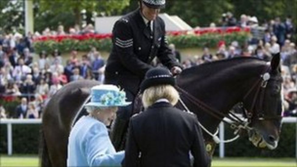 Queen awards police horse Clyde at Royal Ascot - BBC News