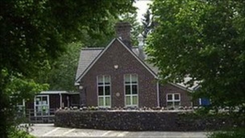 Powys schools: Cwmdu, Dolfor and Trefnanney closure bid - BBC News