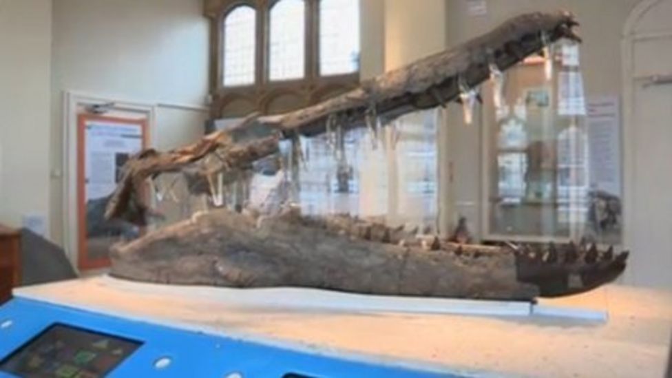 Pliosaur: David Attenborough discovers giant skull of ancient sea ...