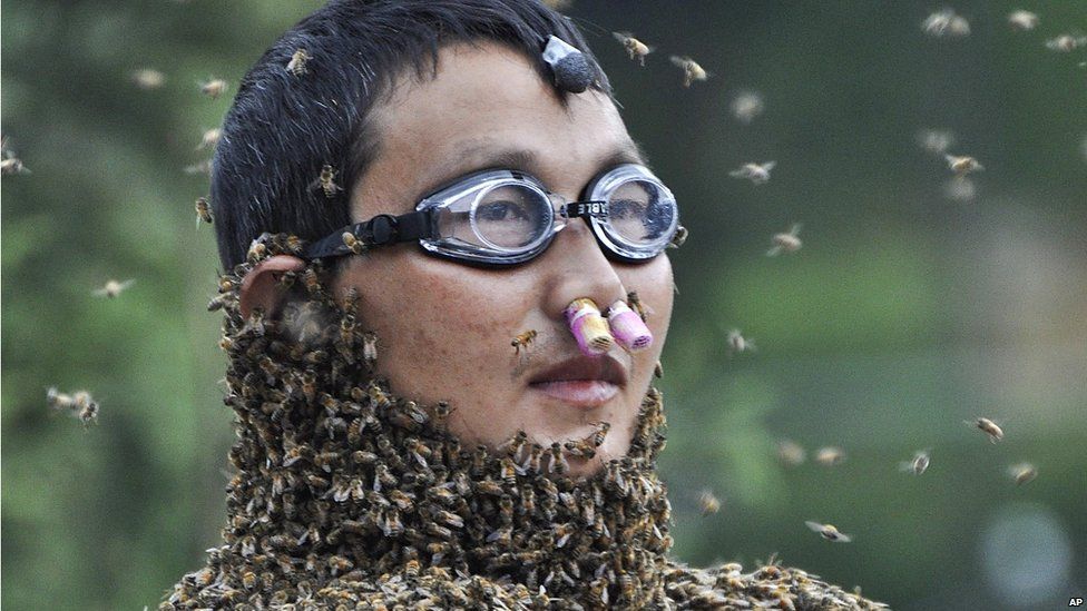 Un-bee-lievable: people get covered in bees in China - BBC Newsround