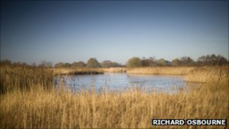 Norfolk Broads nature reserves awarded conservation grants - BBC News