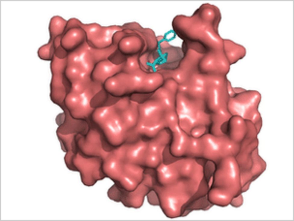 NDM-1 superbug enzyme's 'photofit' taken - BBC News