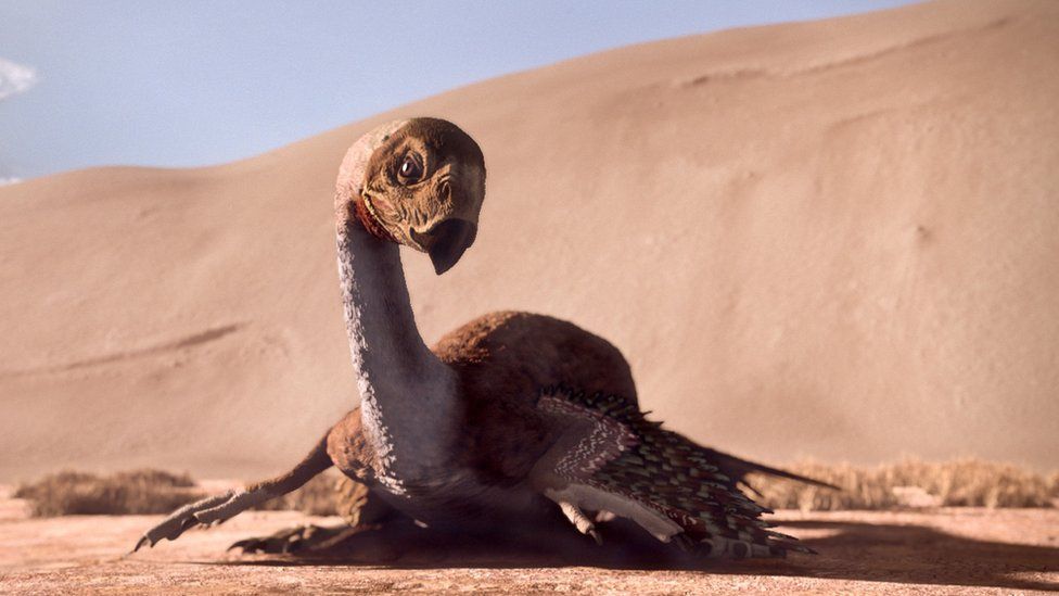Planet Dinosaur : see some lesser-known dinosaurs - BBC Newsround