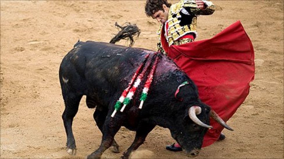 Live bullfights return to Spanish TV after six-year ban - BBC News