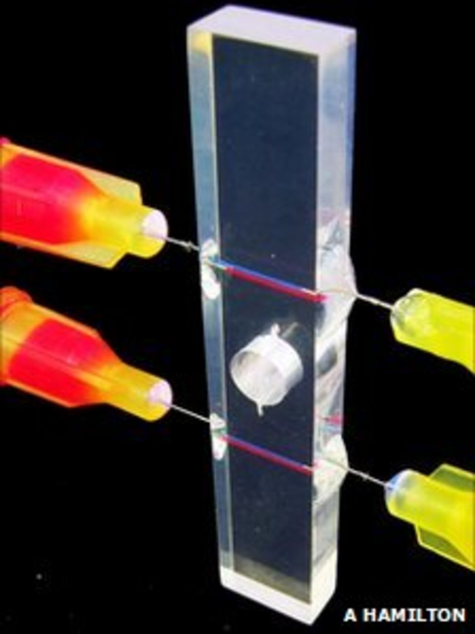 Self-healing materials take cue from nature - BBC News