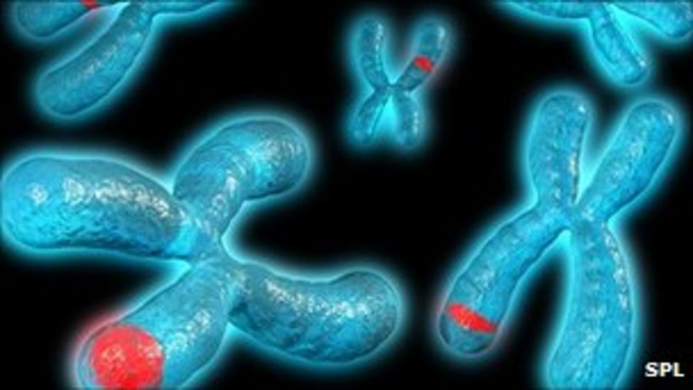 Gene therapy and stem cells unite - BBC News