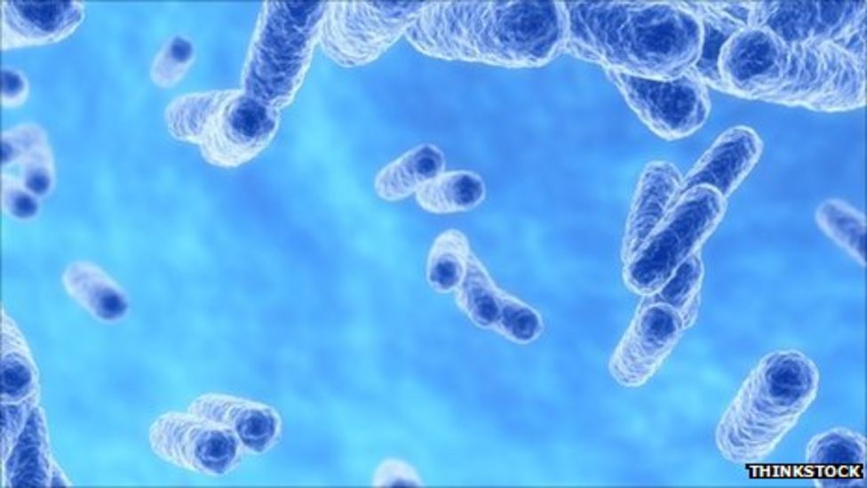 Viewpoint: How do our bacteria help us? - BBC News