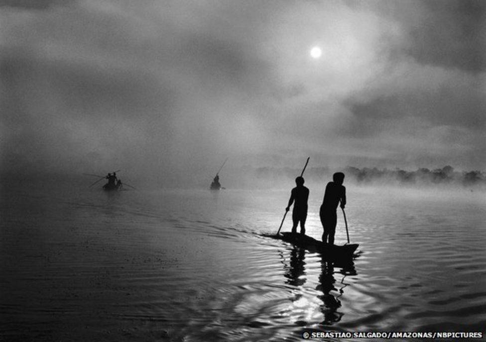 Sebastiao Salgado's Genesis project - BBC News