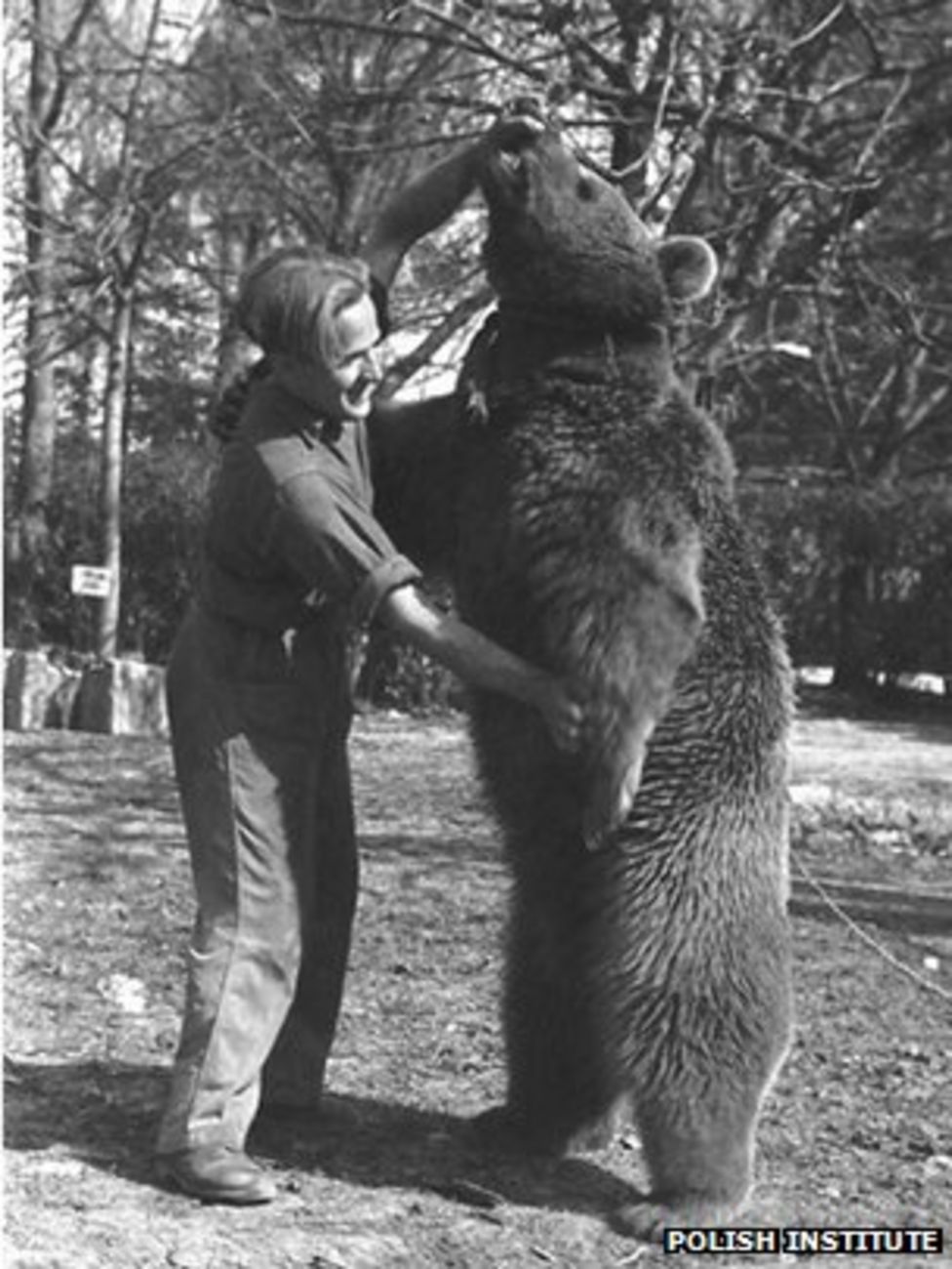 Story of Poland's 'soldier bear' Wojtek turned into film - BBC News