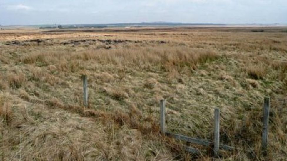Colossal peat bog discovered in Congo - BBC News