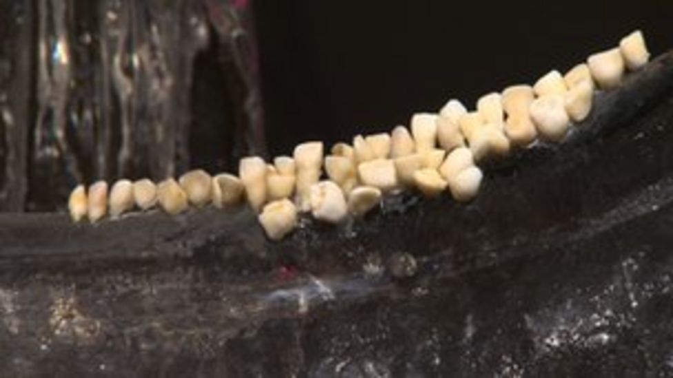 The thought-provoking 'tooth fairy palace' - BBC News