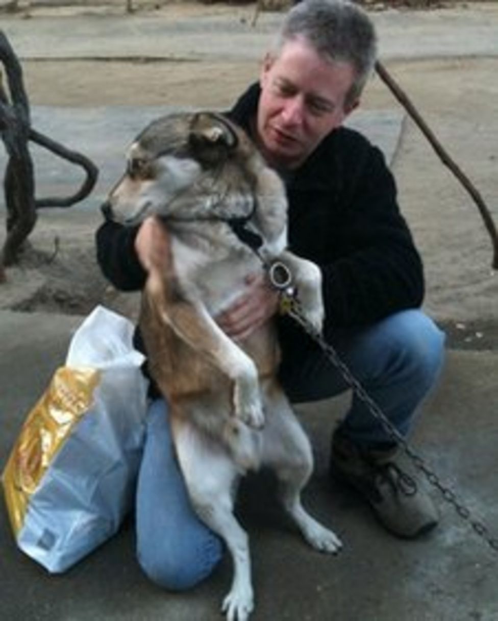 Warwick man adopts Romanian stray dog as family pet - BBC News