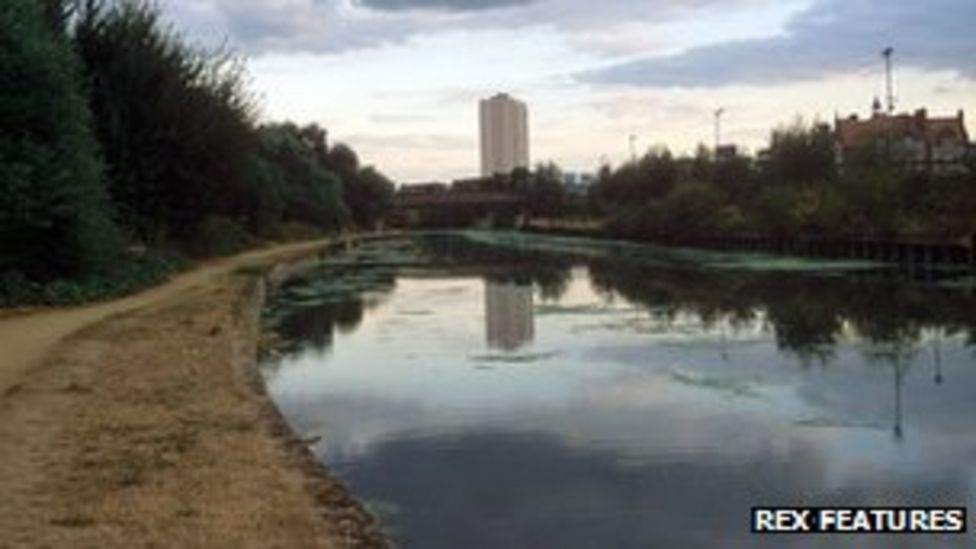 Plumbing blamed for pollution in London's Lea Valley - BBC News