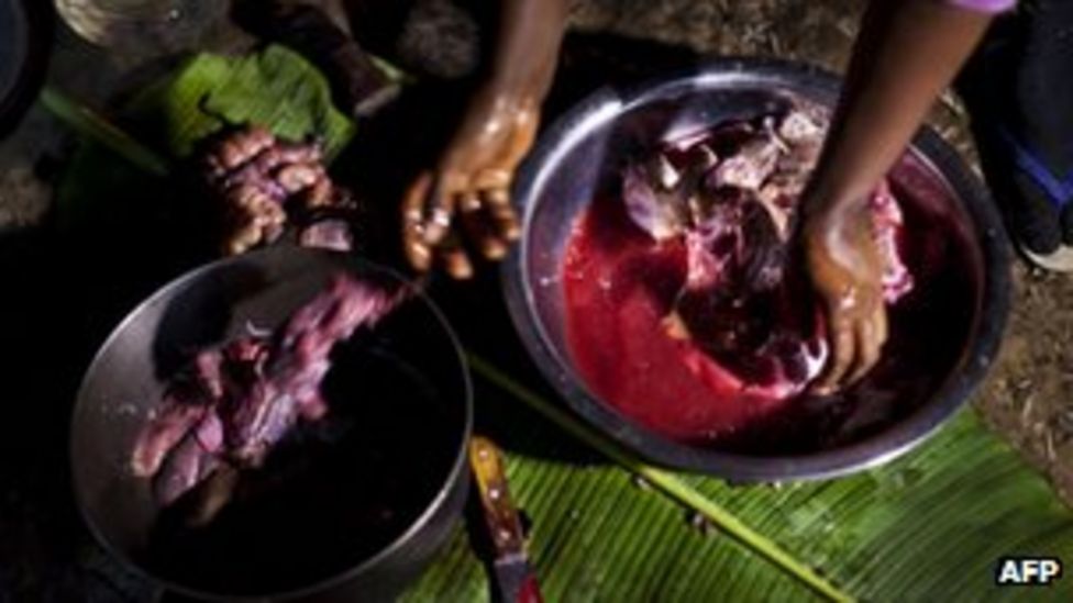 Confiscated bushmeat 'poses virus threat' - BBC News