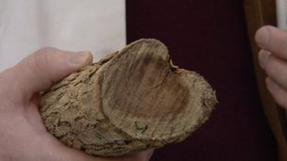 Strathclyde University scientists end marabu weed nightmare - BBC News