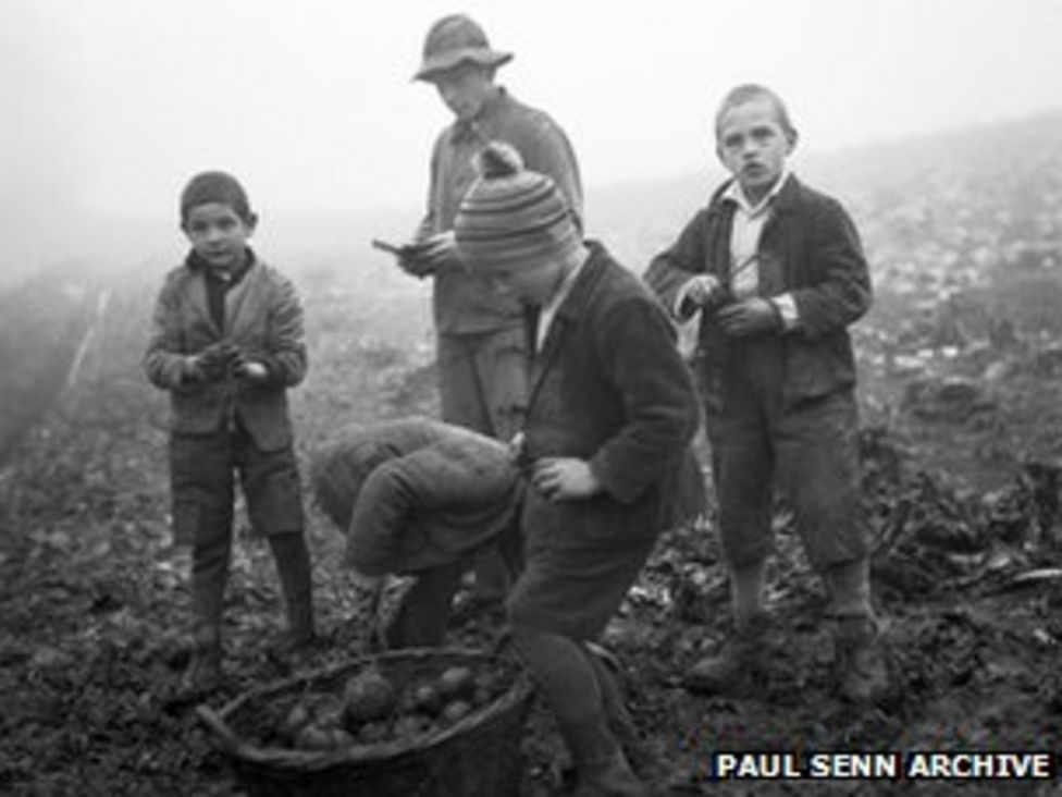 Swiss 'contract children' speak out - BBC News