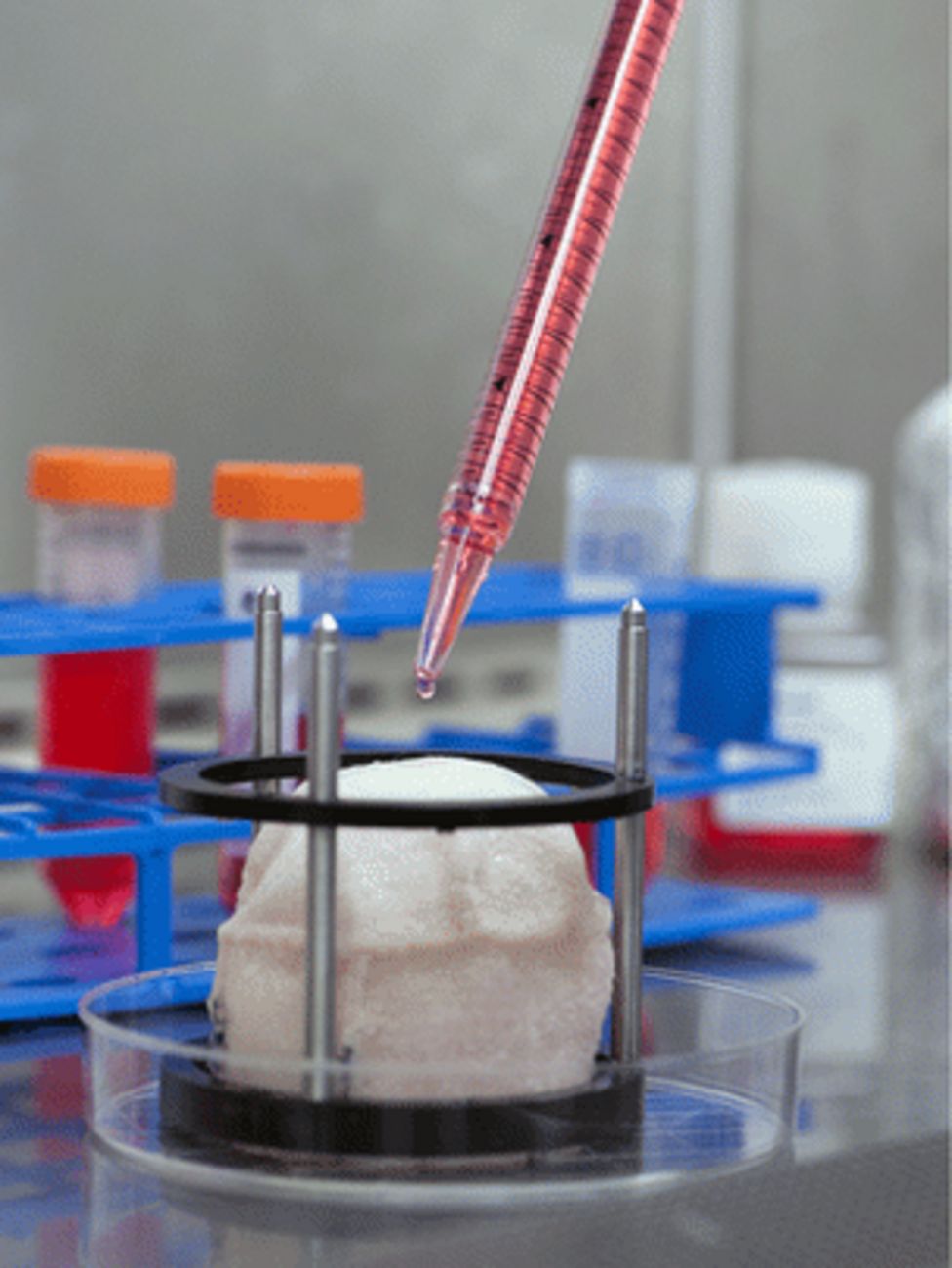 Will we ever grow replacement hands? - BBC News