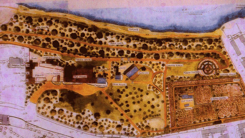 Charles Darwin: Garden map of The Mount - BBC News