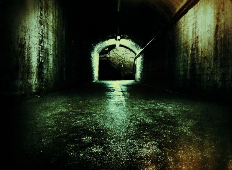 Your pictures: Grubby - BBC News