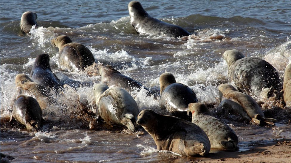 Your pictures of Scotland: 3 - 10 February - BBC News