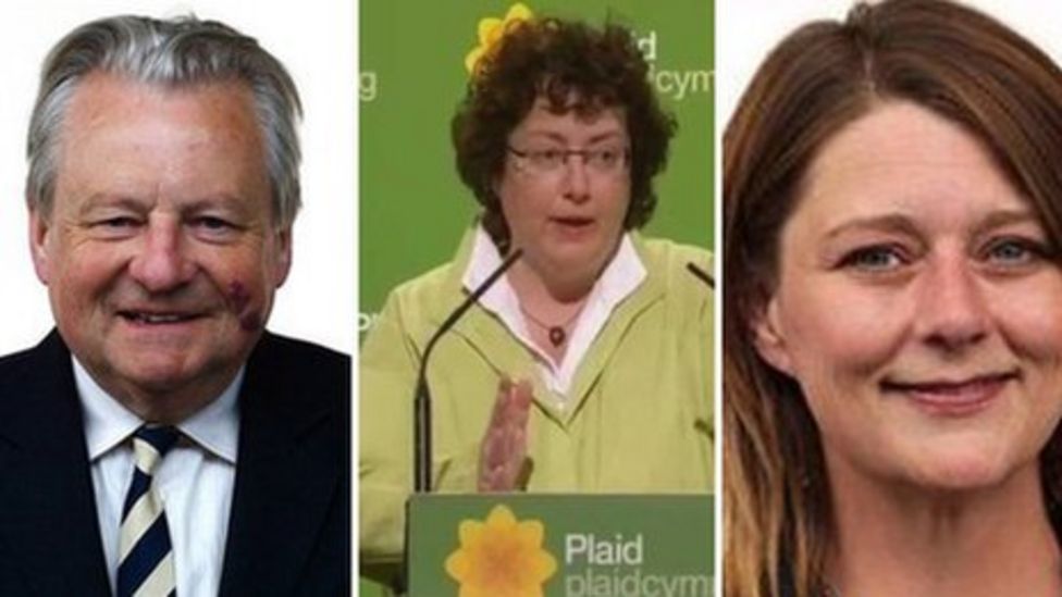 Plaid Cymru: Q&A for leadership candidates - BBC News