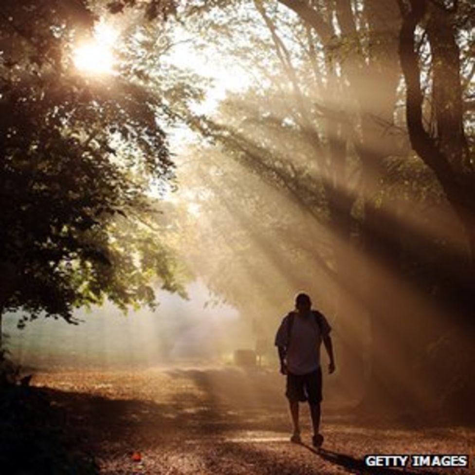 National Trust aims for nature generation - BBC News