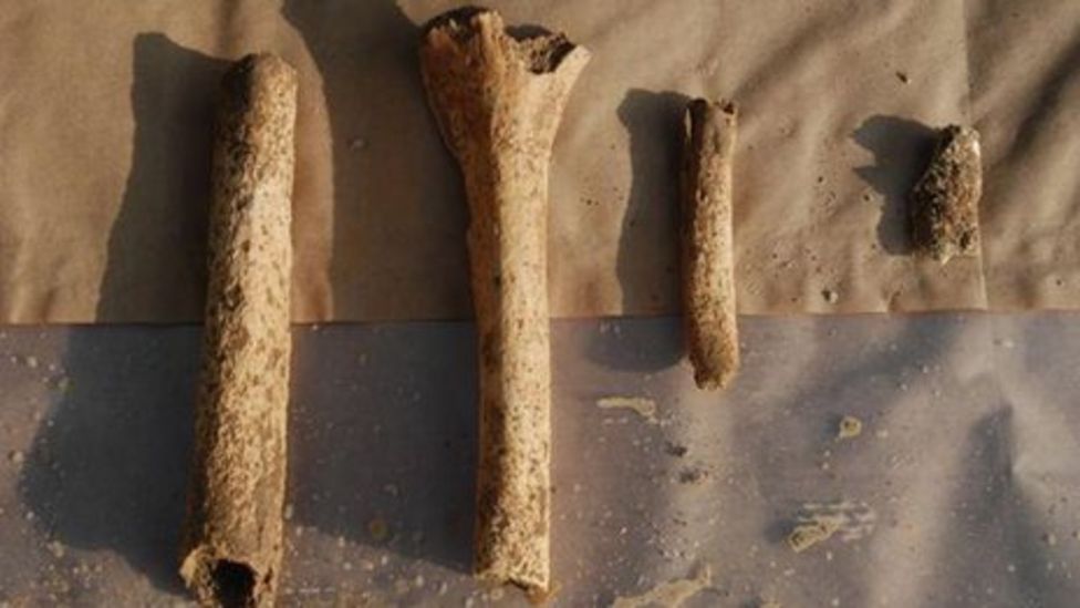 What happens if you find human remains in your garden? - BBC News