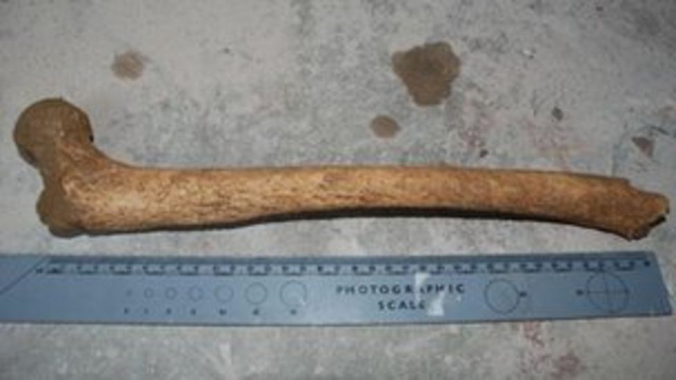 What happens if you find human remains in your garden? - BBC News