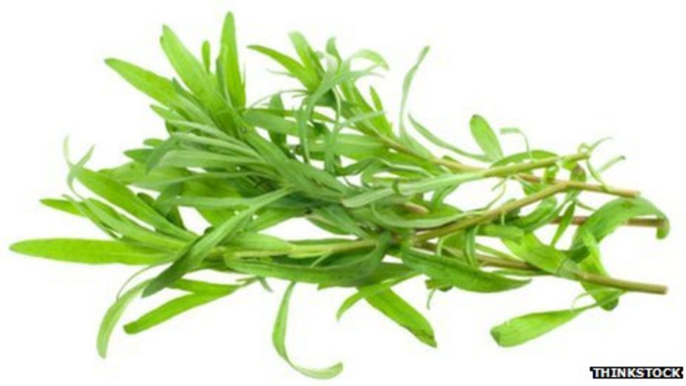 Who, What, Why: Where has all the tarragon gone? - BBC News