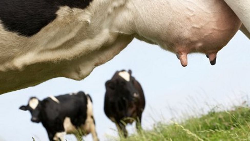 Forgotten food: 25 foods readers would like to revive - BBC News